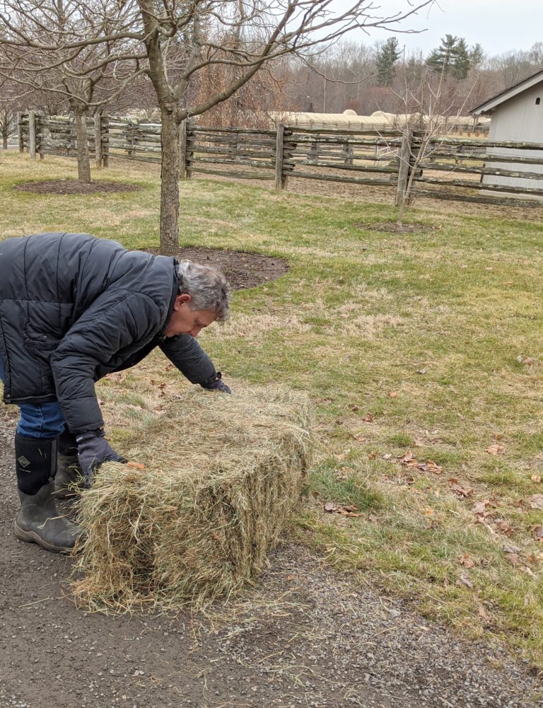 Mulching Around the Farm - The Martha Stewart Blog