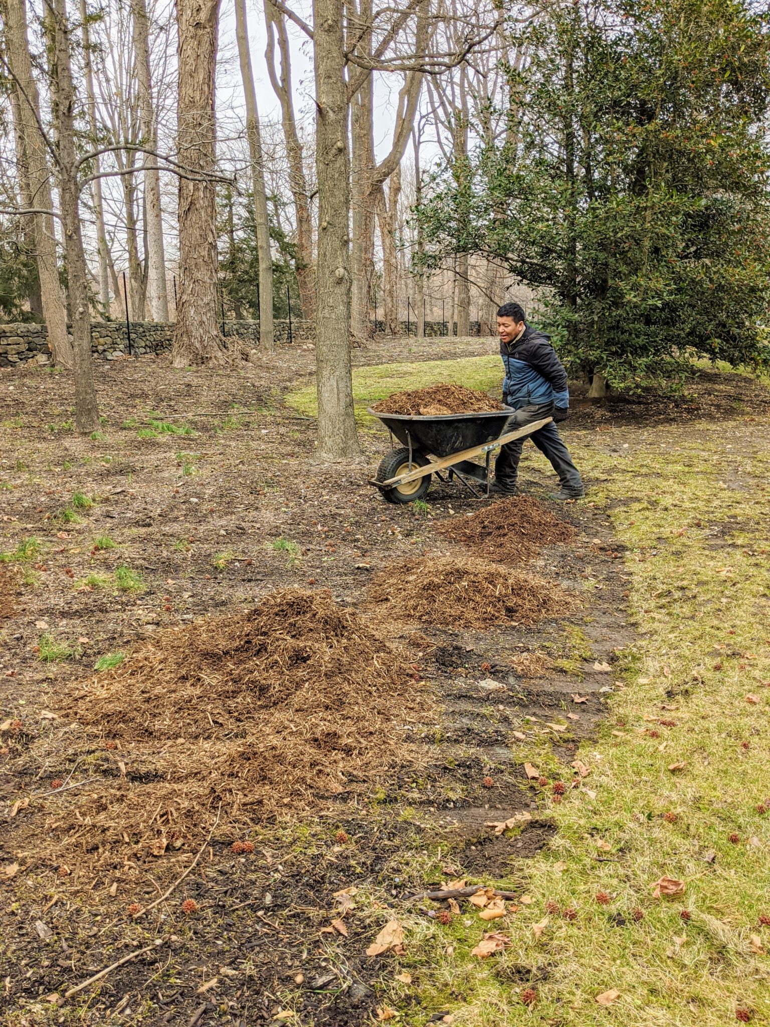 Mulching Around the Farm - The Martha Stewart Blog