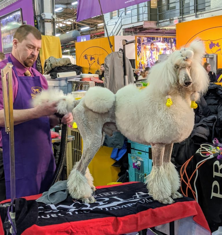 The 144th Westminster Kennel Club Dog Show, Part One - The Martha ...