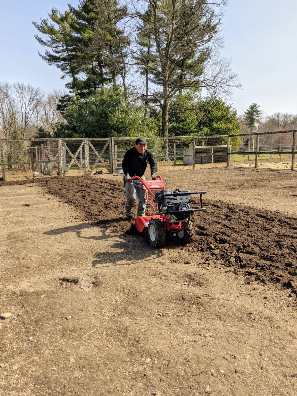 Using a Troy-Bilt "Big Red" Garden Tiller - The Martha Stewart Blog