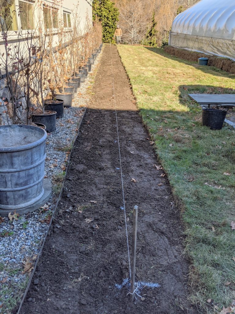 The Martha Stewart Blog : Blog Archive Planting Trees Around the Farm ...