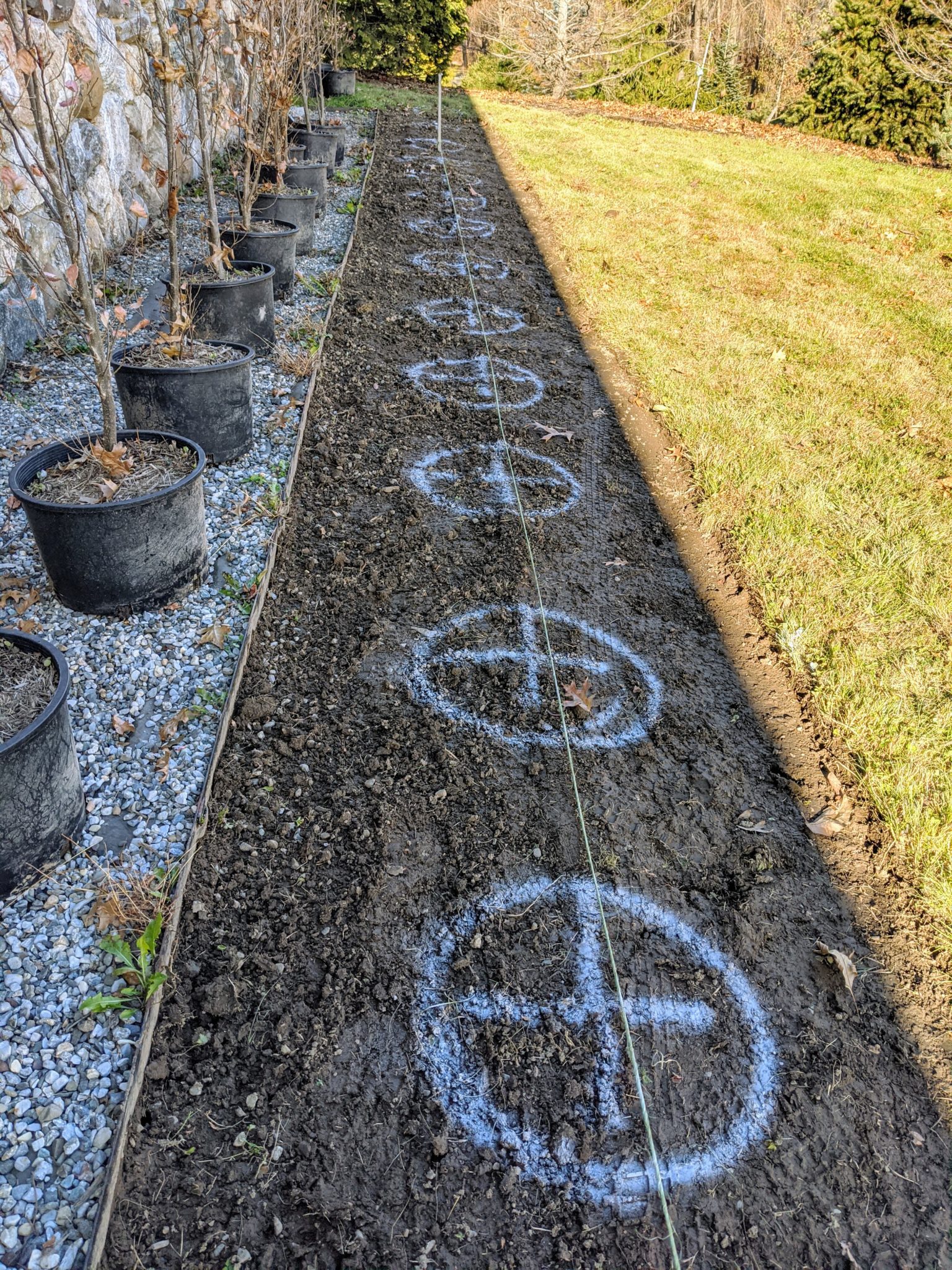 Planting Trees Around the Farm - The Martha Stewart Blog