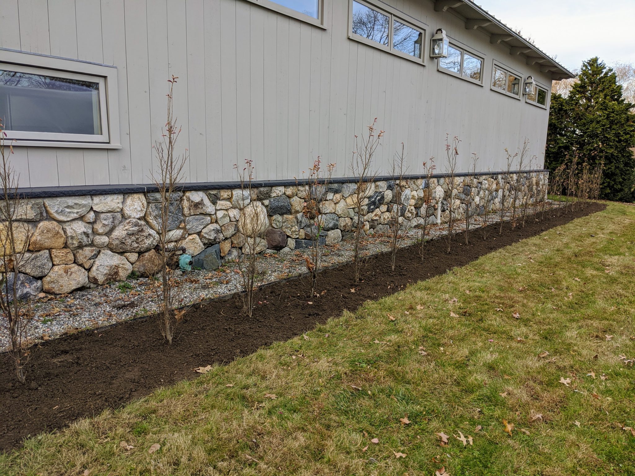 The Martha Stewart Blog : Blog Archive Planting Trees Around the Farm ...