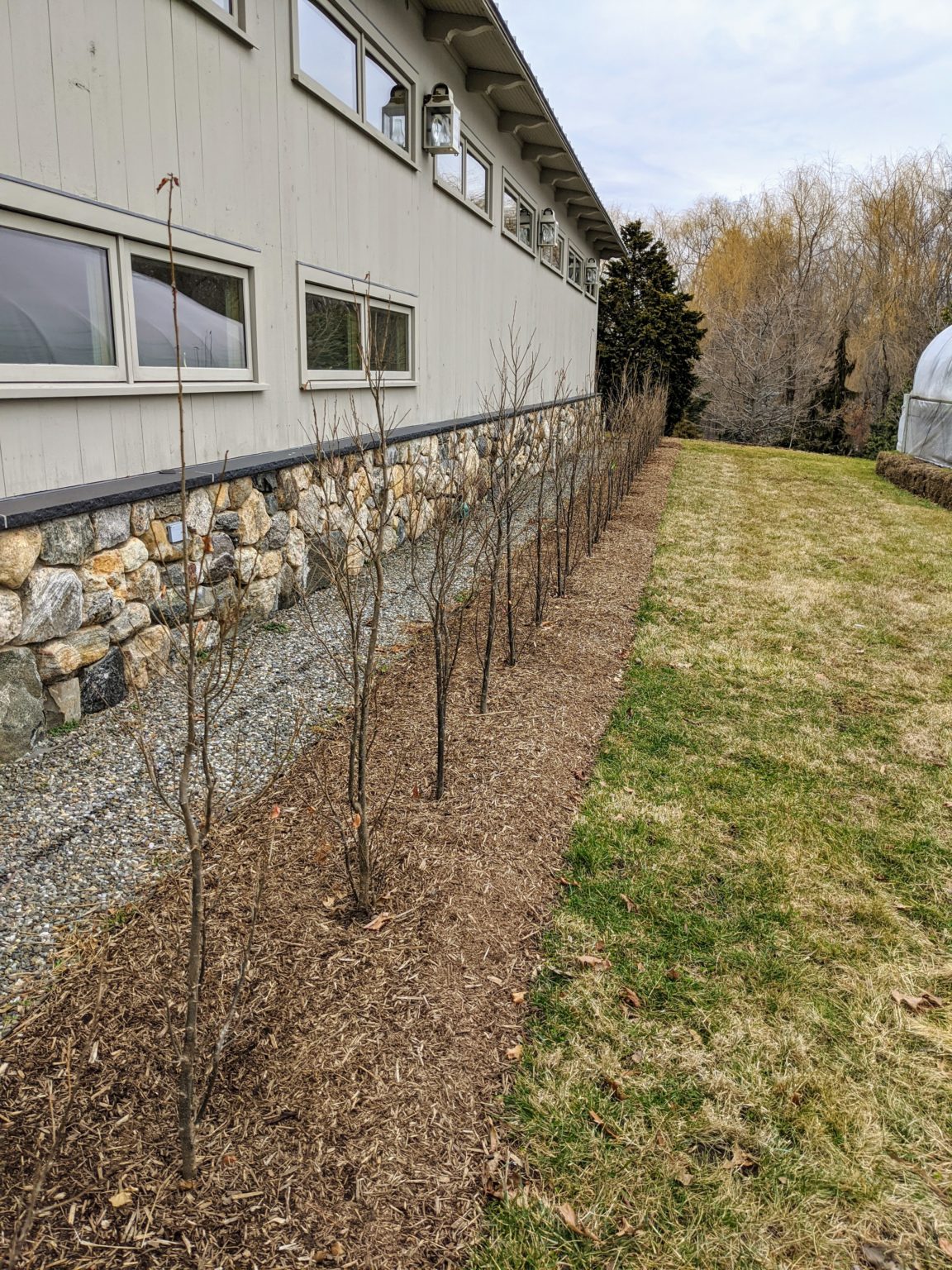 The Martha Stewart Blog : Blog Archive Planting Trees Around the Farm ...