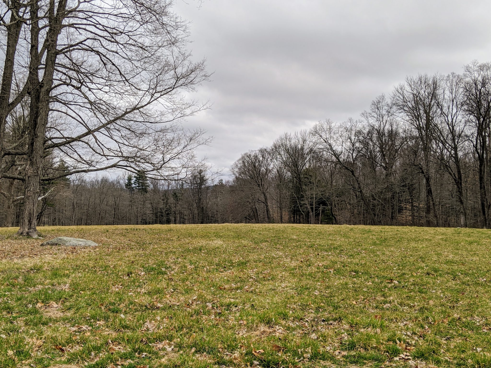 Aerating and Seeding the Fields and Paddocks - The Martha Stewart Blog