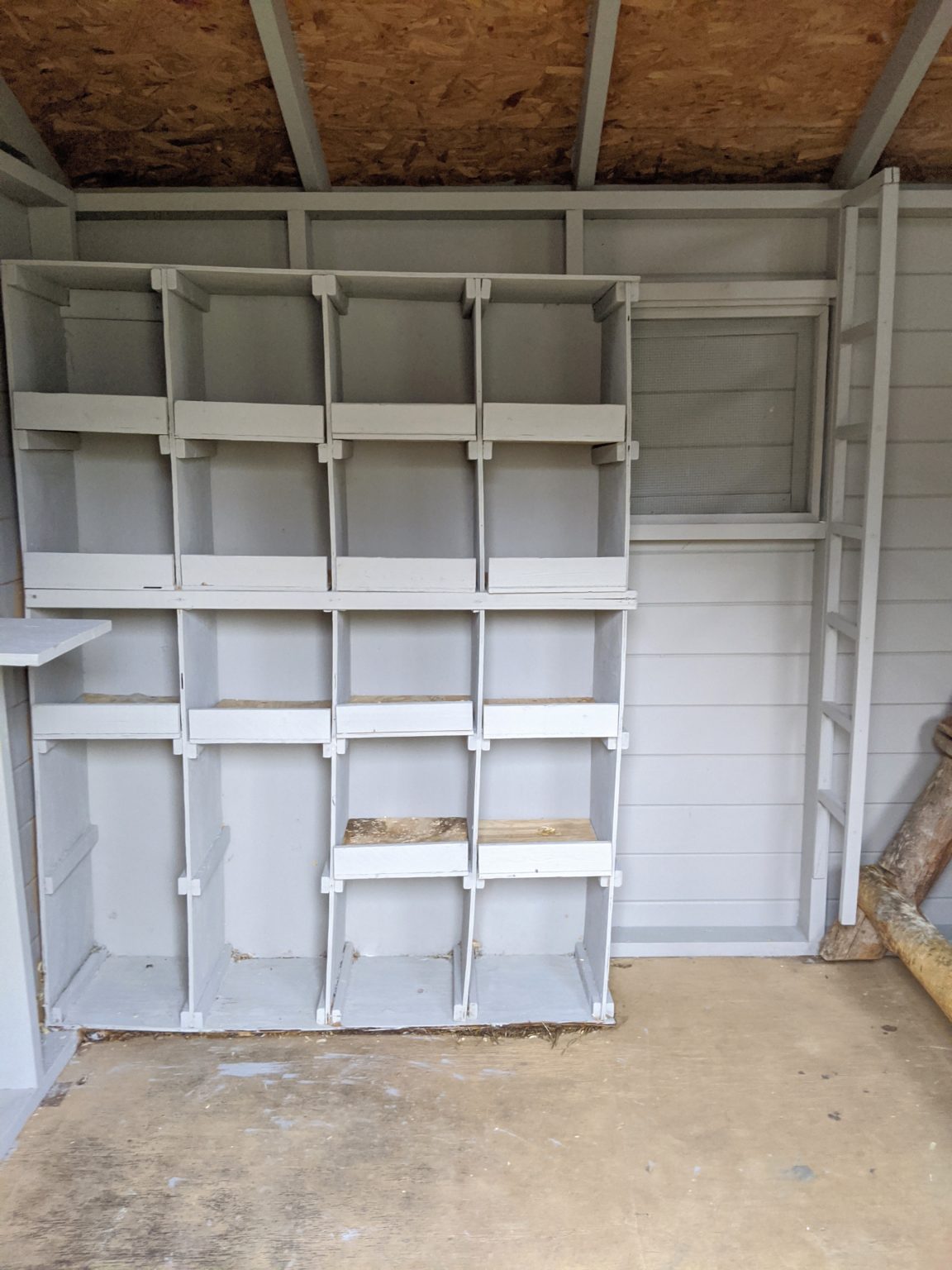 Expanding the Pigeon Enclosure - The Martha Stewart Blog