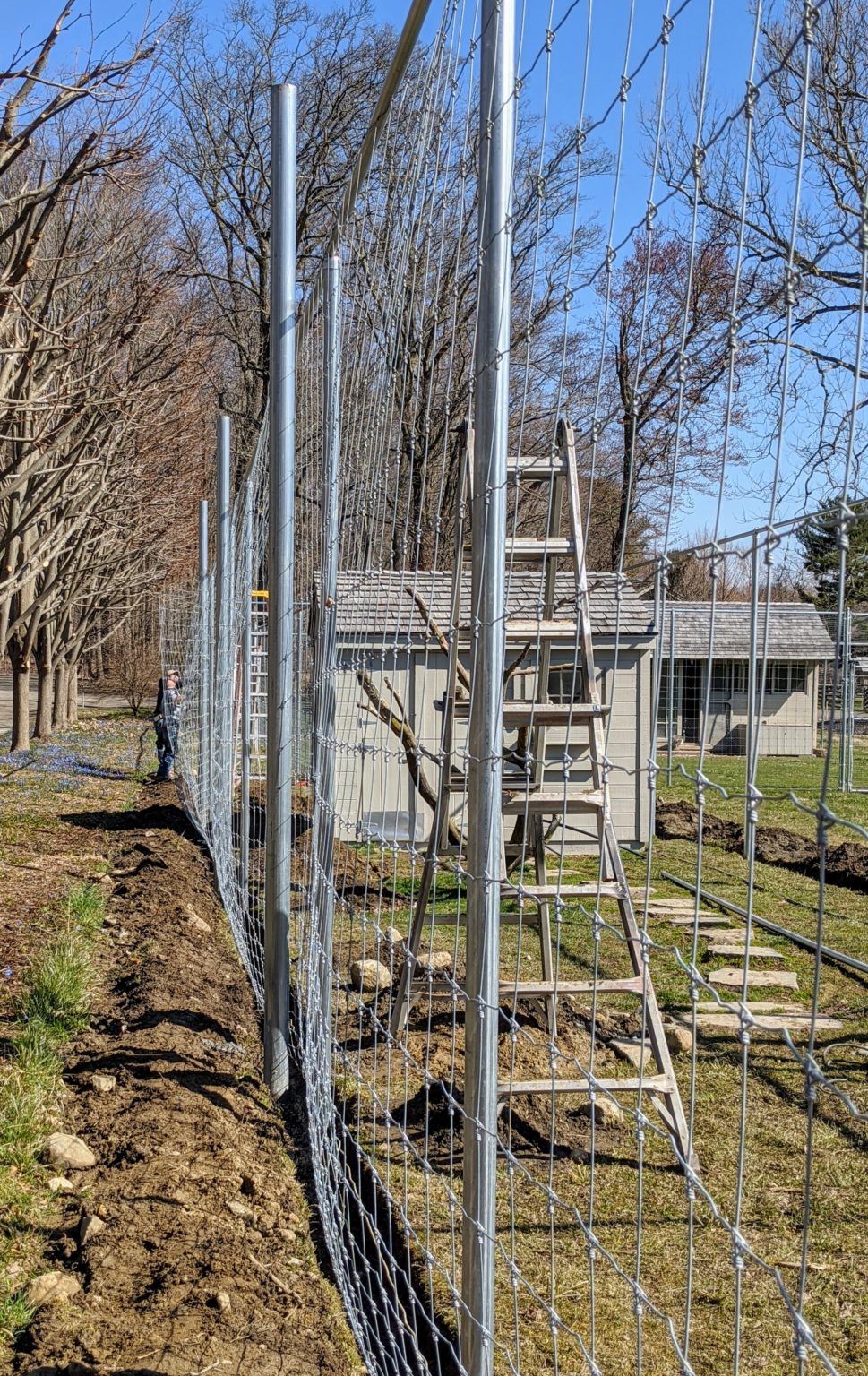 Expanding the Pigeon Enclosure - The Martha Stewart Blog