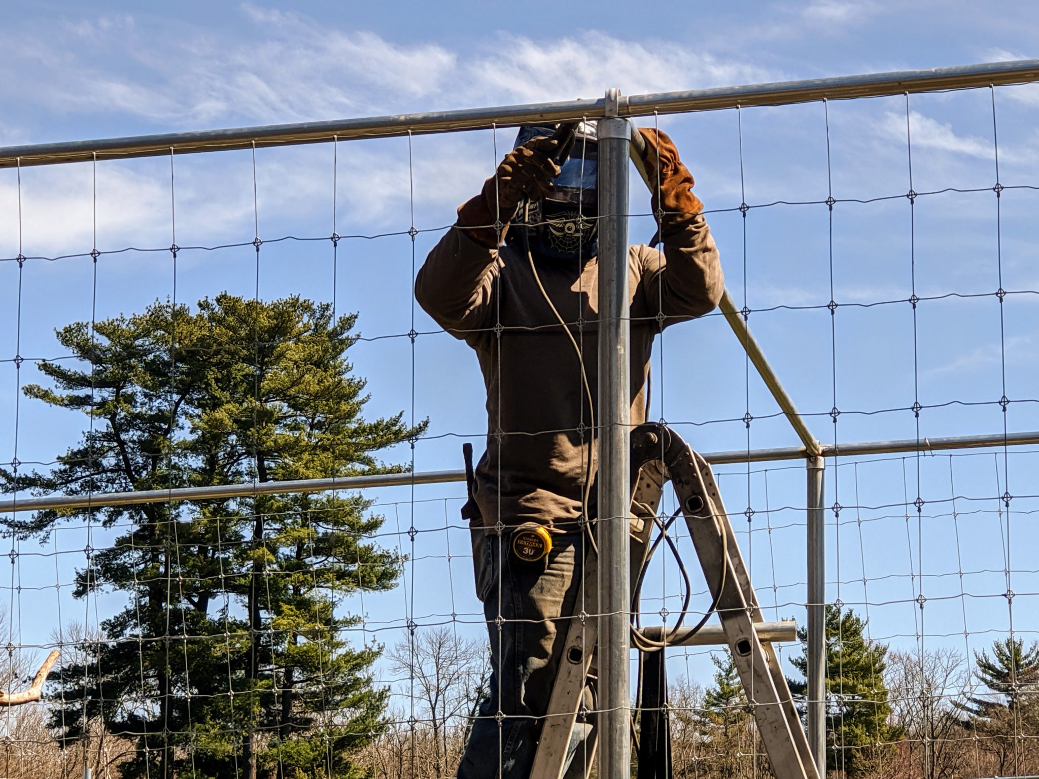 Expanding the Pigeon Enclosure - The Martha Stewart Blog