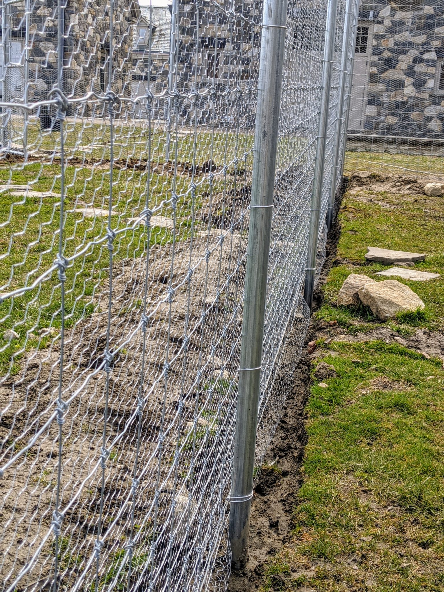 Expanding the Pigeon Enclosure - The Martha Stewart Blog
