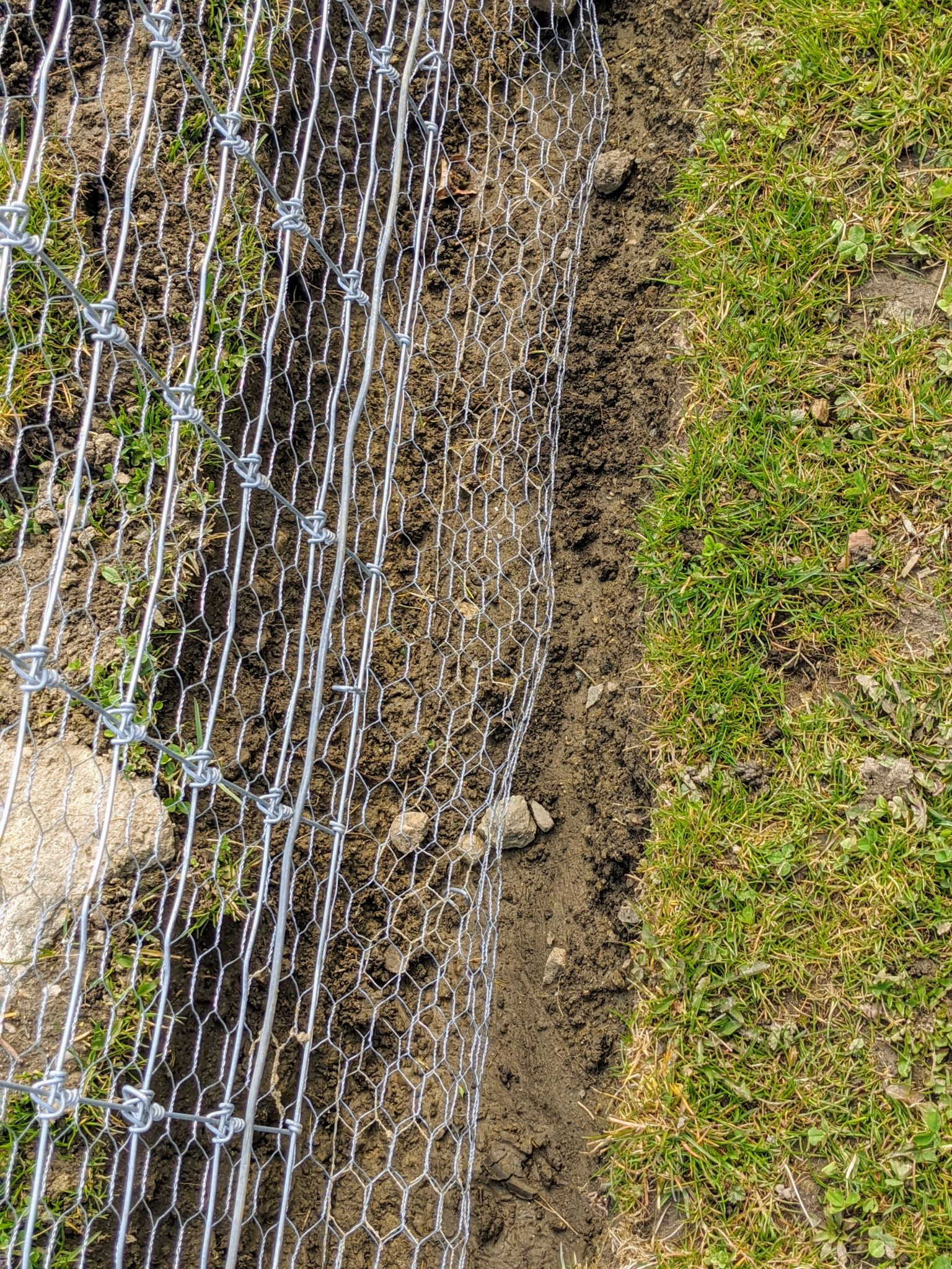 Expanding the Pigeon Enclosure - The Martha Stewart Blog