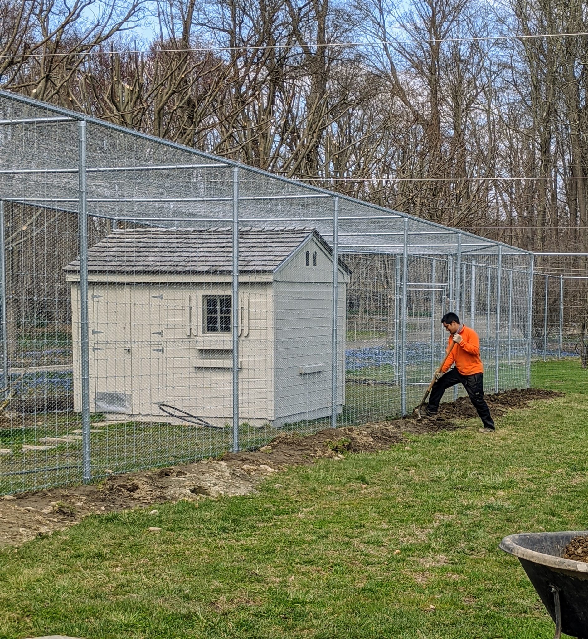 Expanding the Pigeon Enclosure - The Martha Stewart Blog