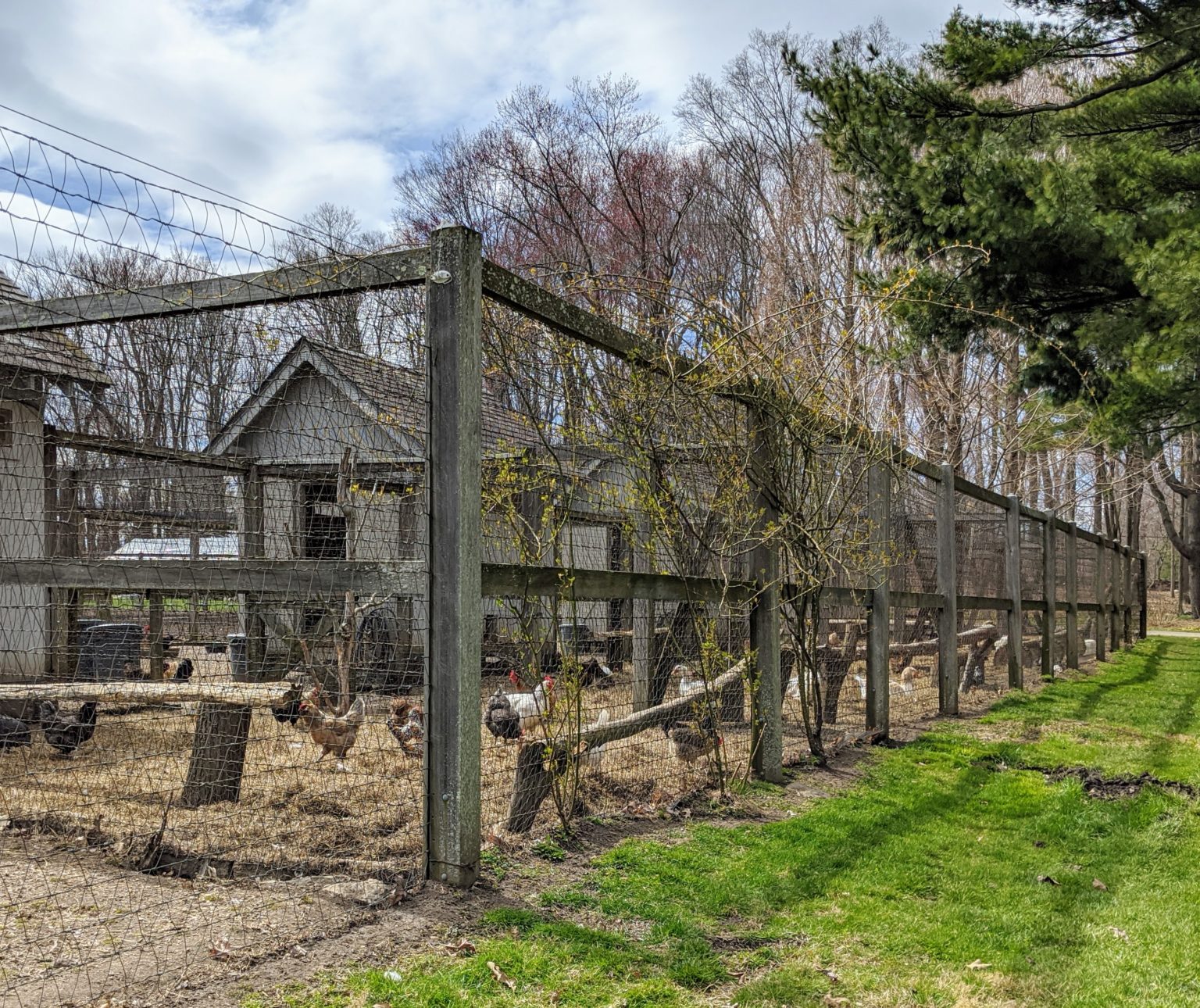 Planting Trees Around the Farm - The Martha Stewart Blog