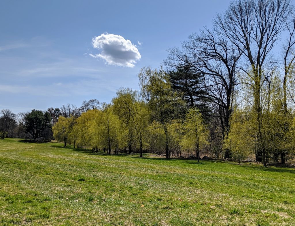 Aerating and Seeding the Fields and Paddocks - The Martha Stewart Blog