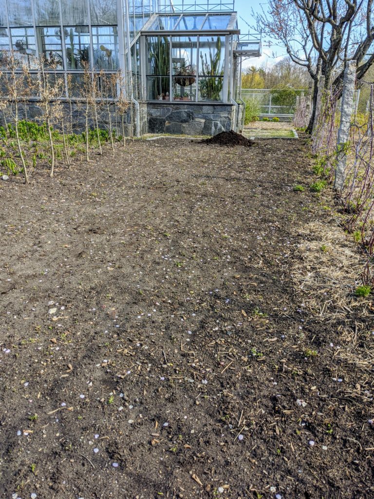 The Martha Stewart Blog : Blog Archive Planting a Strawberry Patch ...