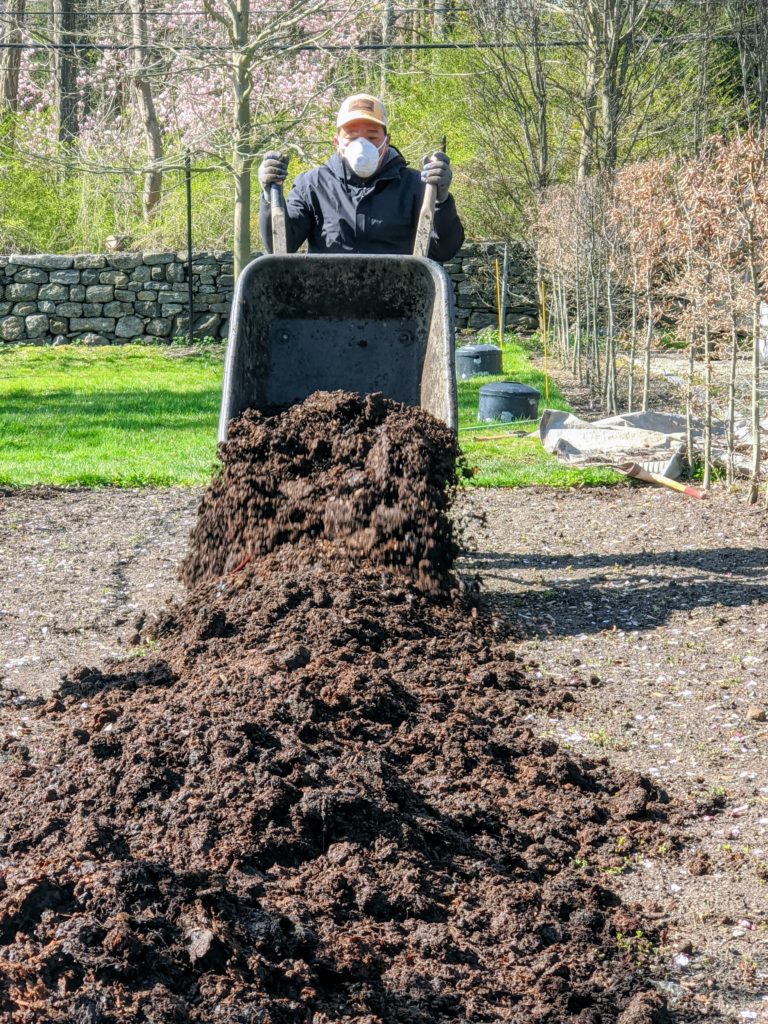 Planting a Strawberry Patch - The Martha Stewart Blog