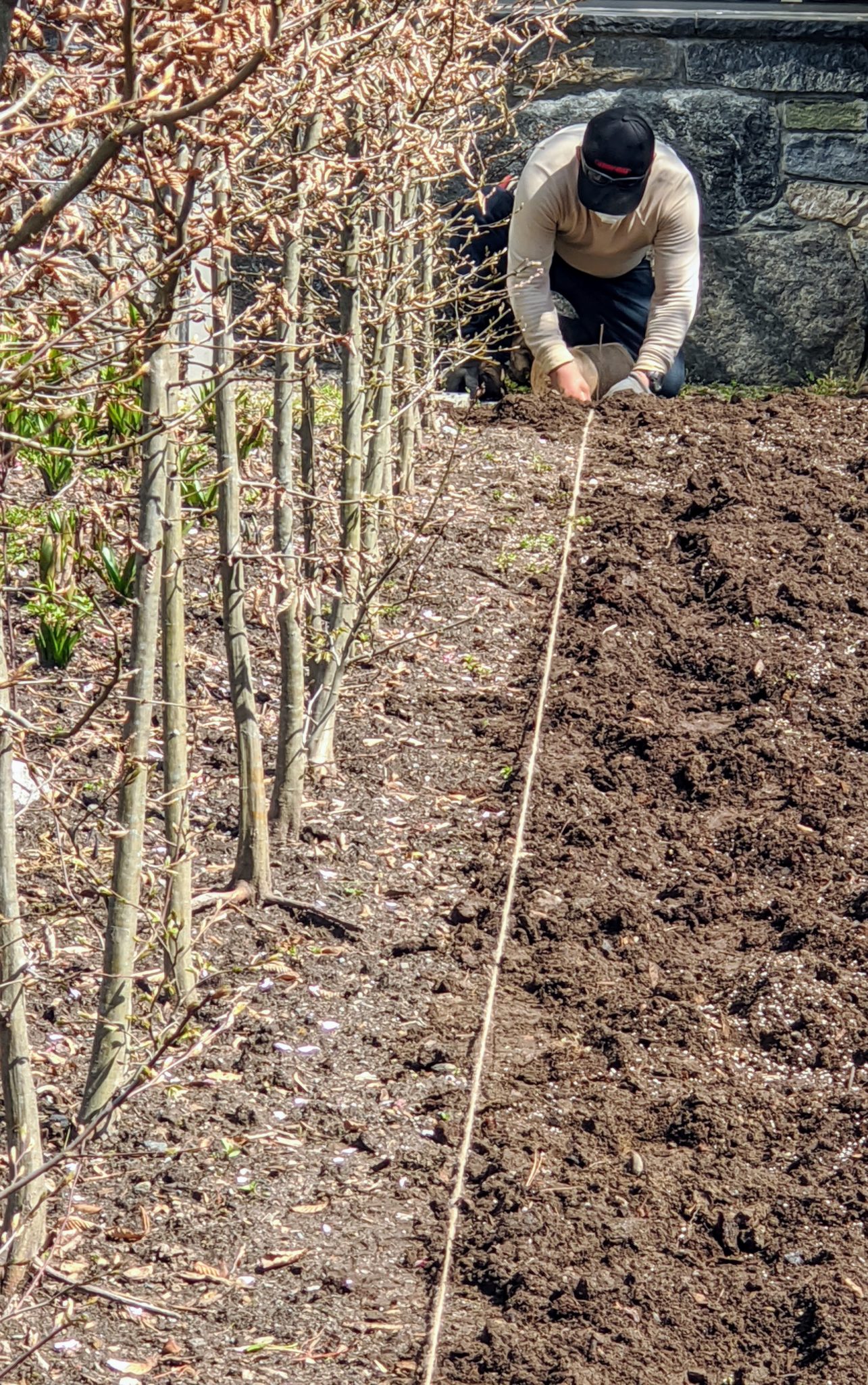 The Martha Stewart Blog : Blog Archive Planting a Strawberry Patch ...