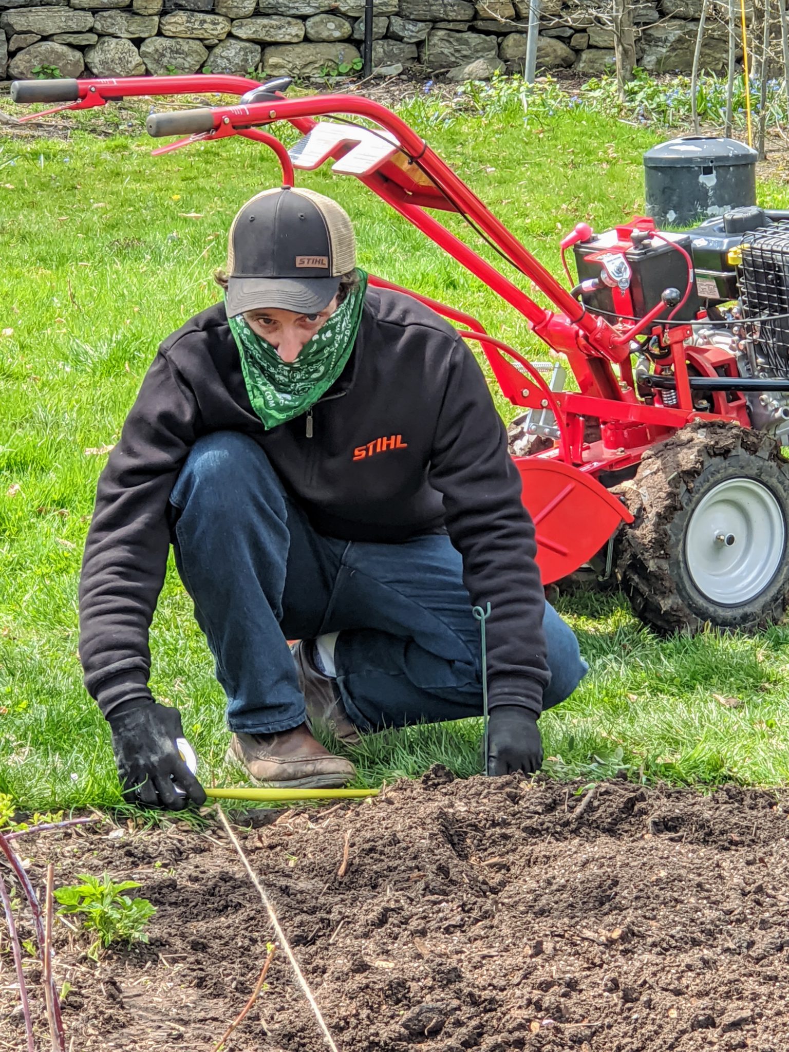 Planting a Strawberry Patch - The Martha Stewart Blog