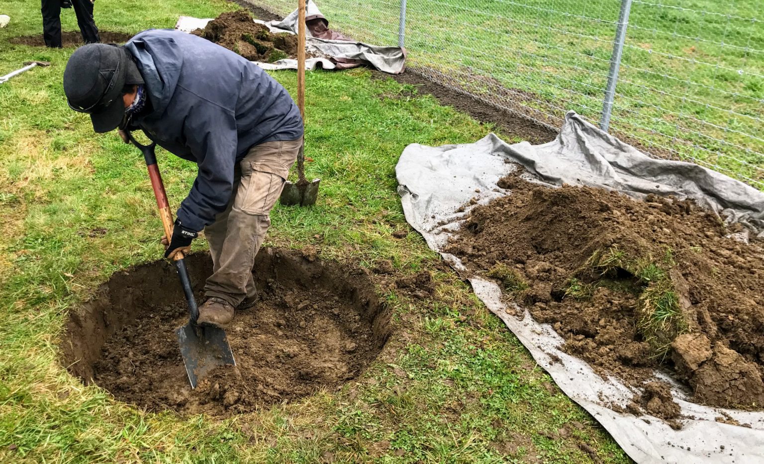 Planting Trees Around the Farm - The Martha Stewart Blog