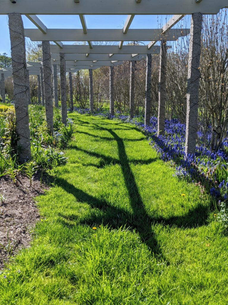 Transforming the Paths Under My Winding Pergola - The Martha Stewart Blog