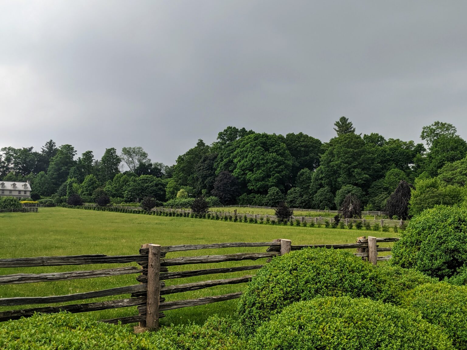 A Rainy Day at My Farm - The Martha Stewart Blog