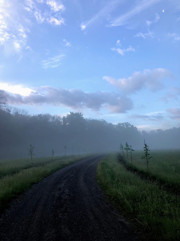 The Martha Stewart Blog : Blog Archive Early Morning Fog Over My Farm ...