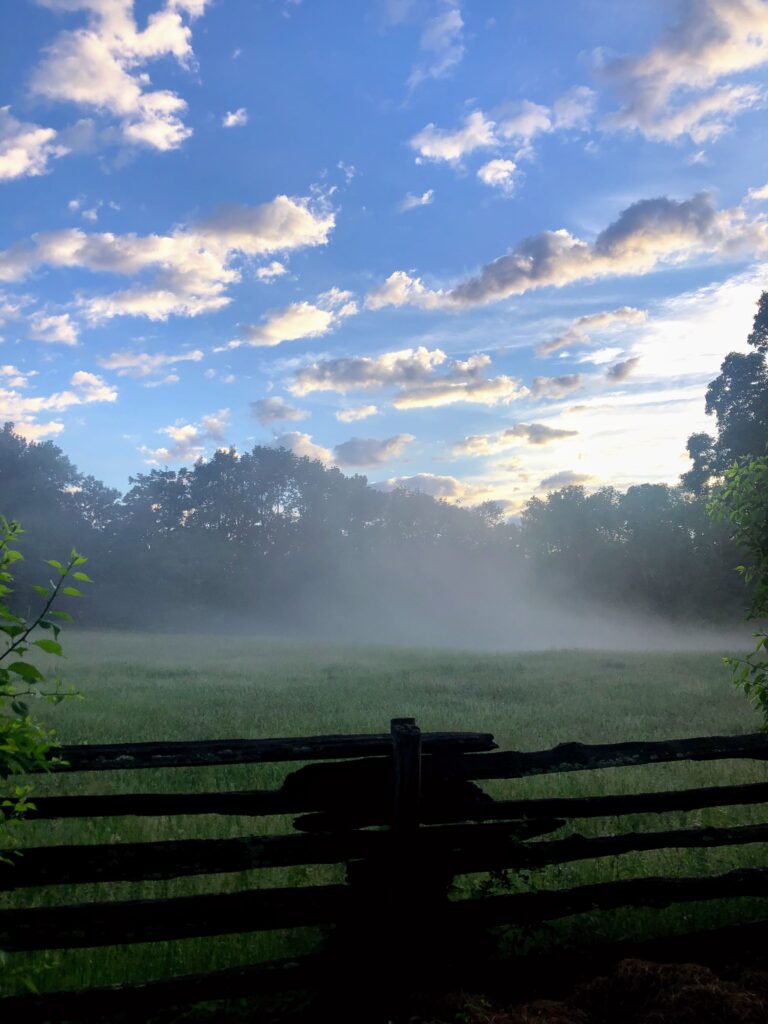 Early Morning Fog Over My Farm - The Martha Stewart Blog