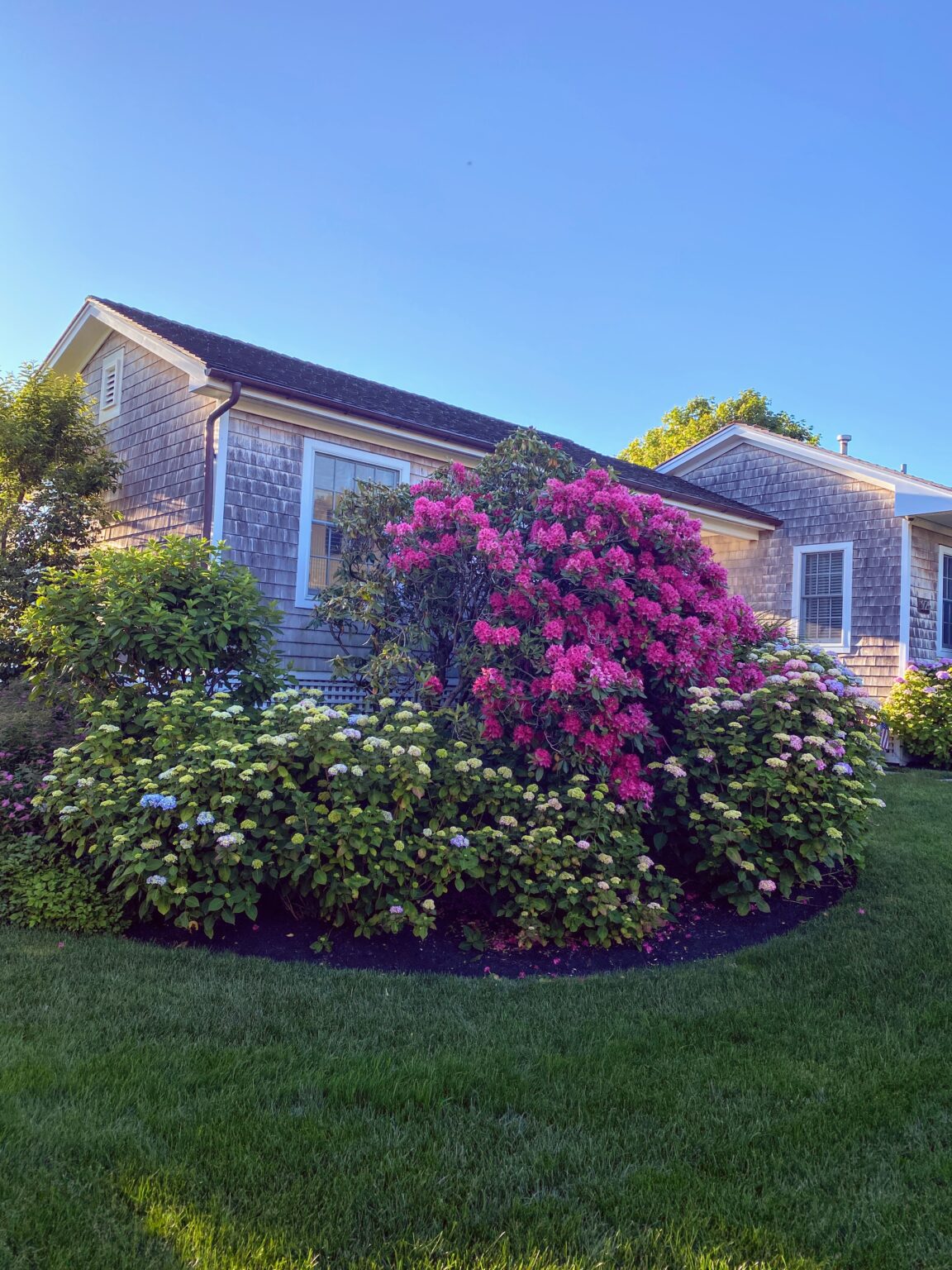 A Spring Day on Long Island - The Martha Stewart Blog