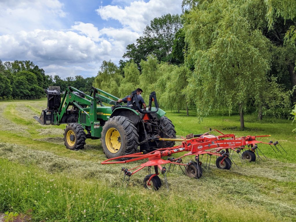 Making Hay for My Horses - The Martha Stewart Blog