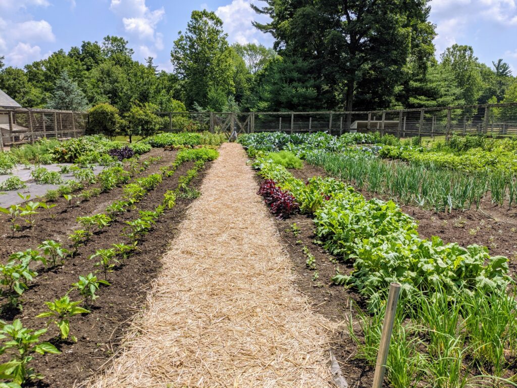 Weeding All Around the Farm - The Martha Stewart Blog