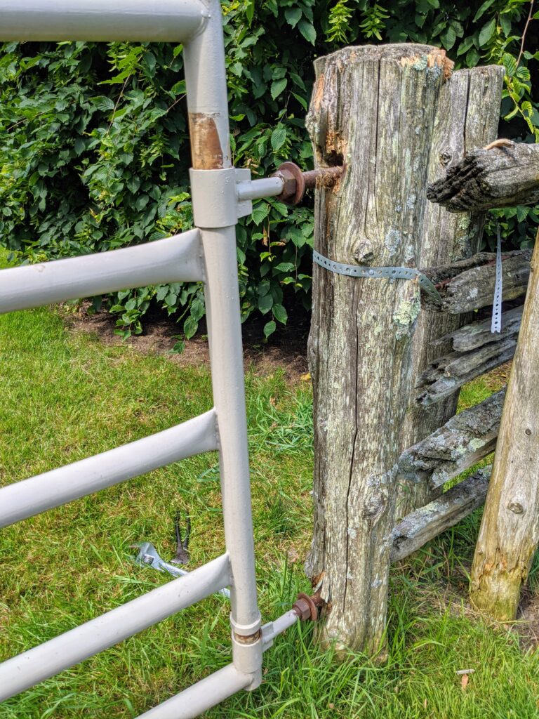 The Martha Stewart Blog : Blog Archive Replacing the Fence Gate Posts ...