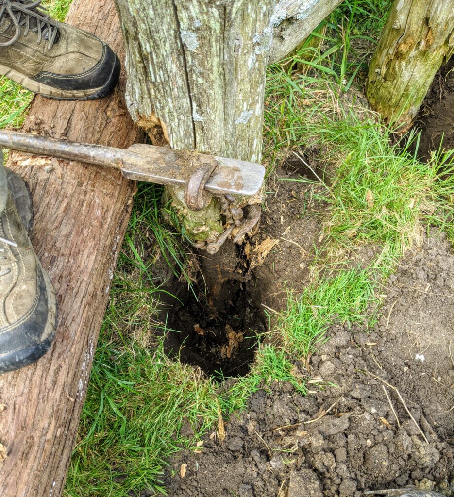 Replacing the Fence Gate Posts - The Martha Stewart Blog