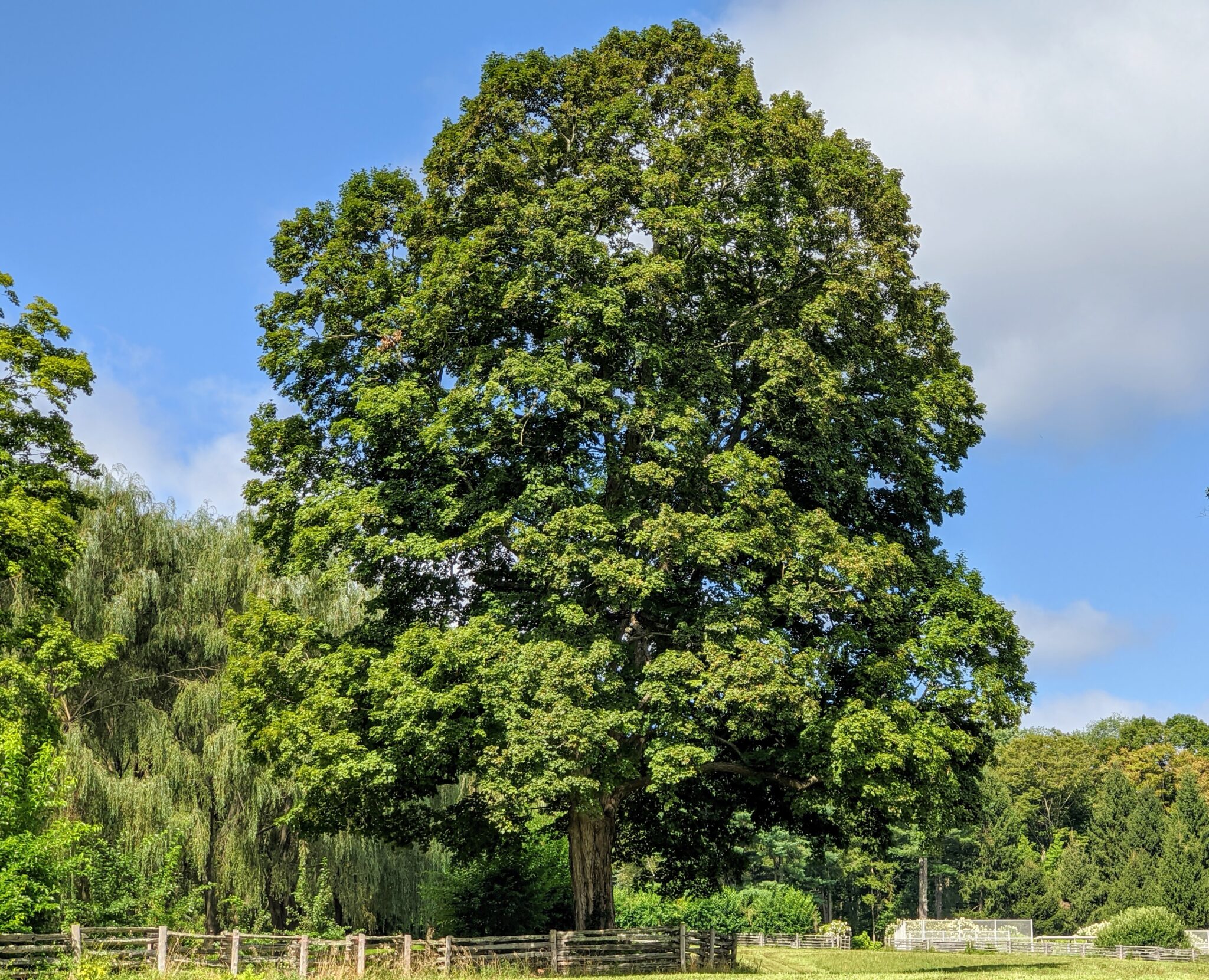 Replacing a Paddock Gate at the Farm - The Martha Stewart Blog