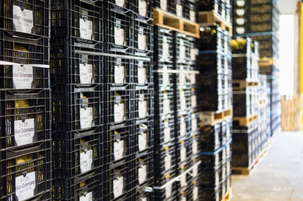 The Martha Stewart Blog : Blog Archive Colorblends Wholesale ...