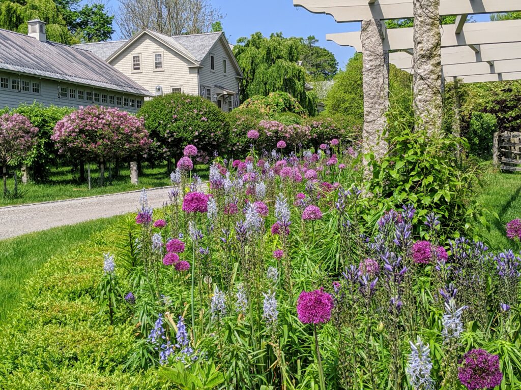 The Martha Stewart Blog : Blog Archive Colorblends Wholesale ...