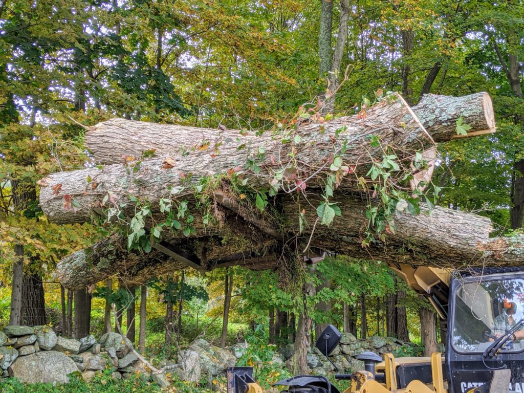 Using a Tub Grinder at My Farm - The Martha Stewart Blog