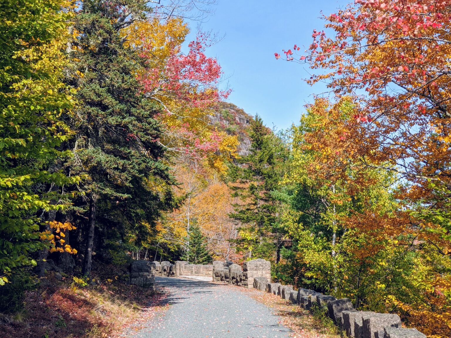 Maine in Fall - The Martha Stewart Blog