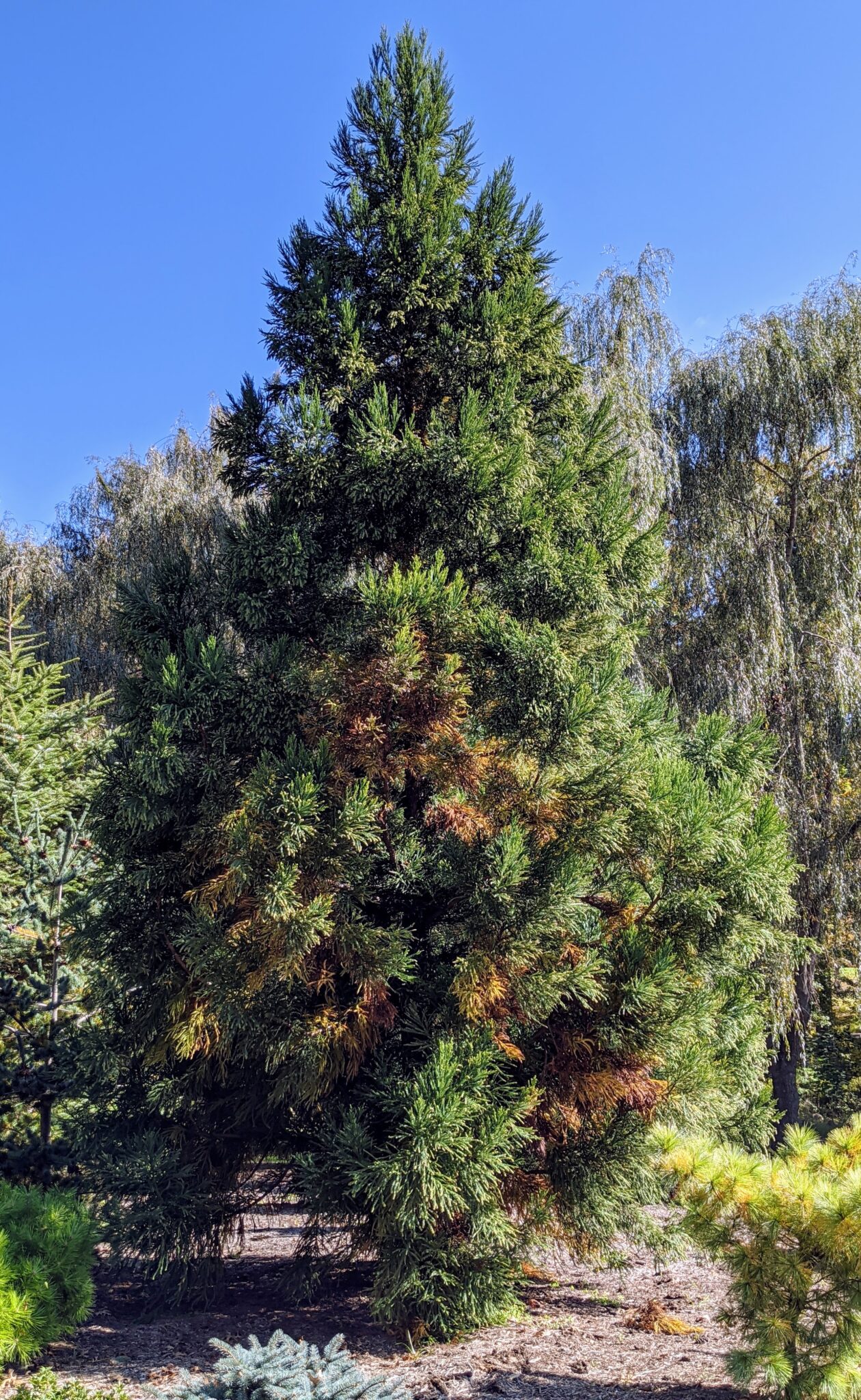 Early Fall Colors at the Farm - The Martha Stewart Blog