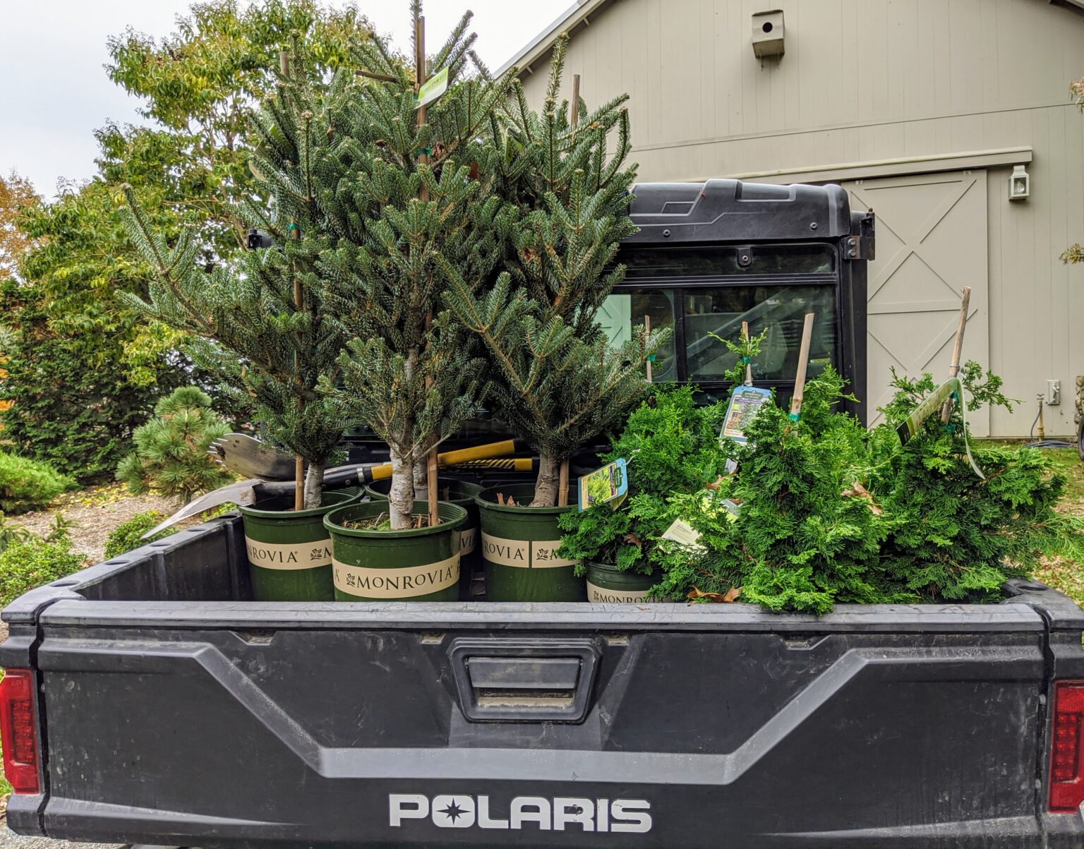Planting Evergreens at the Farm - The Martha Stewart Blog