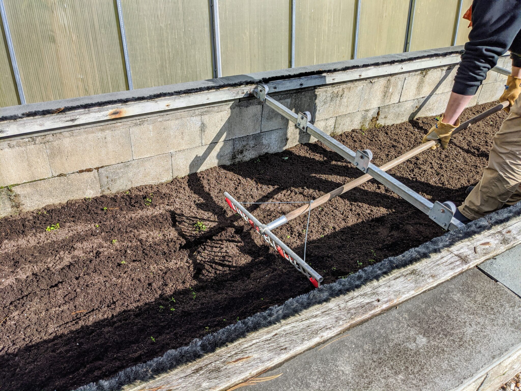 The Martha Stewart Blog : Blog Archive Planting the Cold Frame - The ...