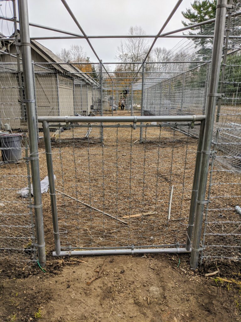 A New Fence for My Chickens - The Martha Stewart Blog