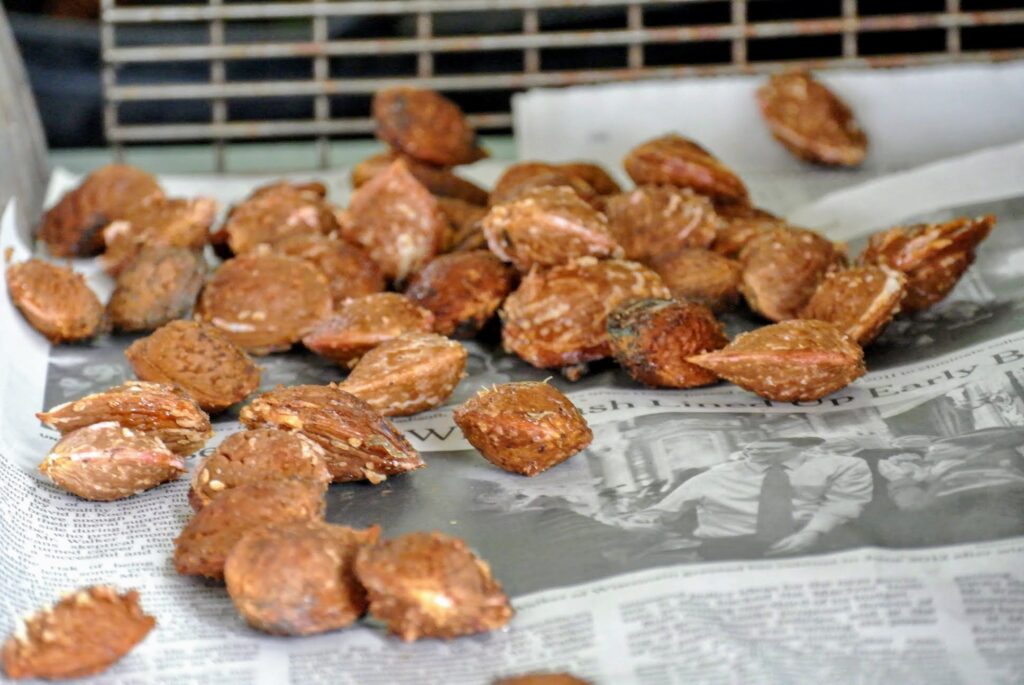 The Martha Stewart Blog : Blog Archive Caring for My Almond Trees - The ...