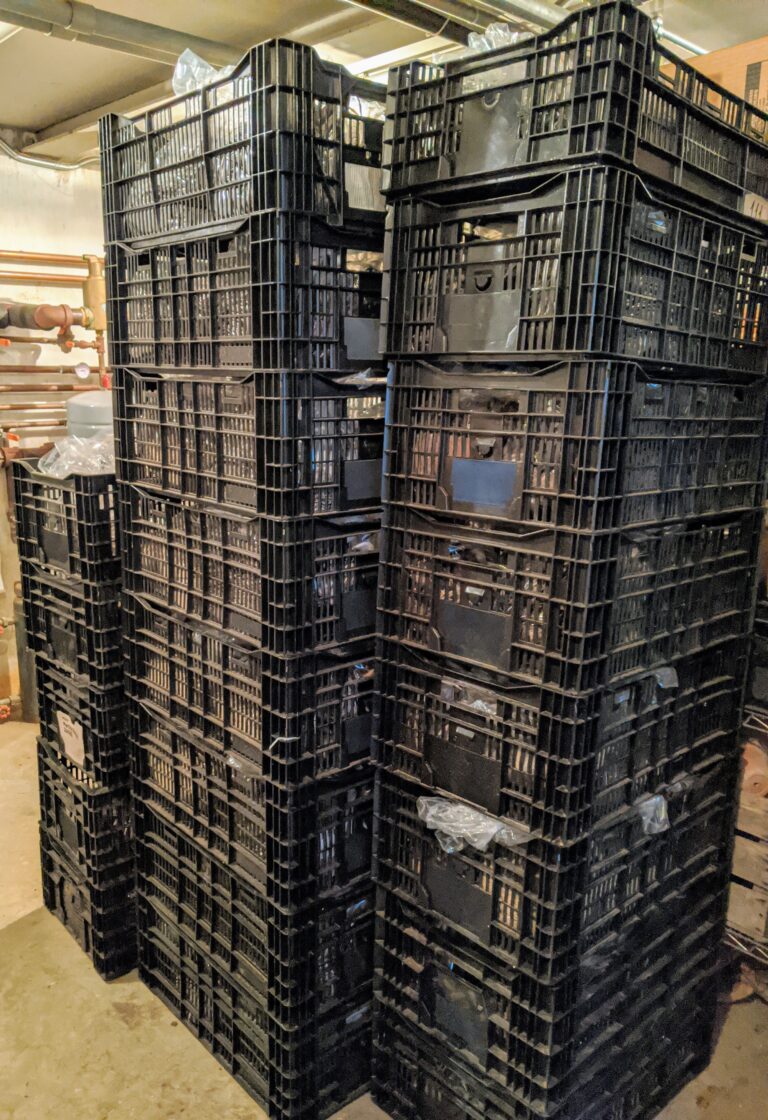 Digging Up and Storing Dahlia Tubers for Winter - The Martha Stewart Blog