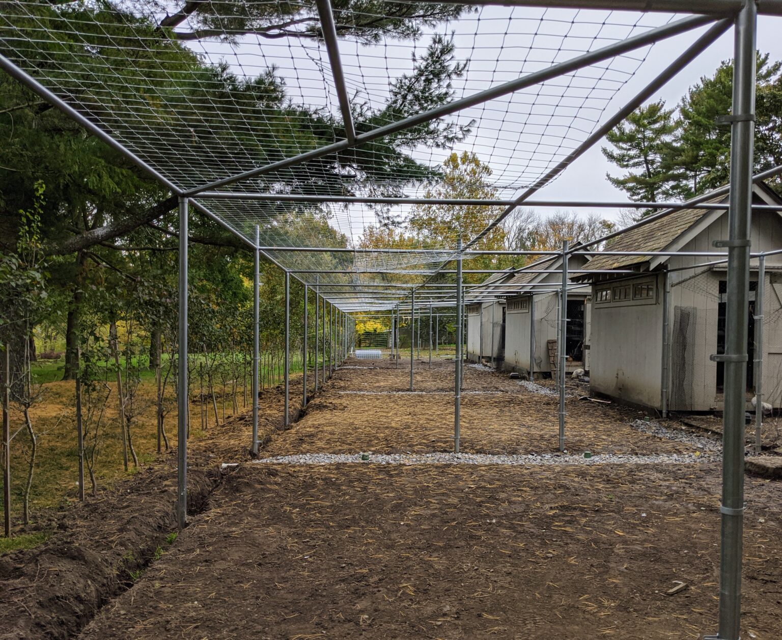 The Martha Stewart Blog : Blog Archive A New Fence for My Chickens ...