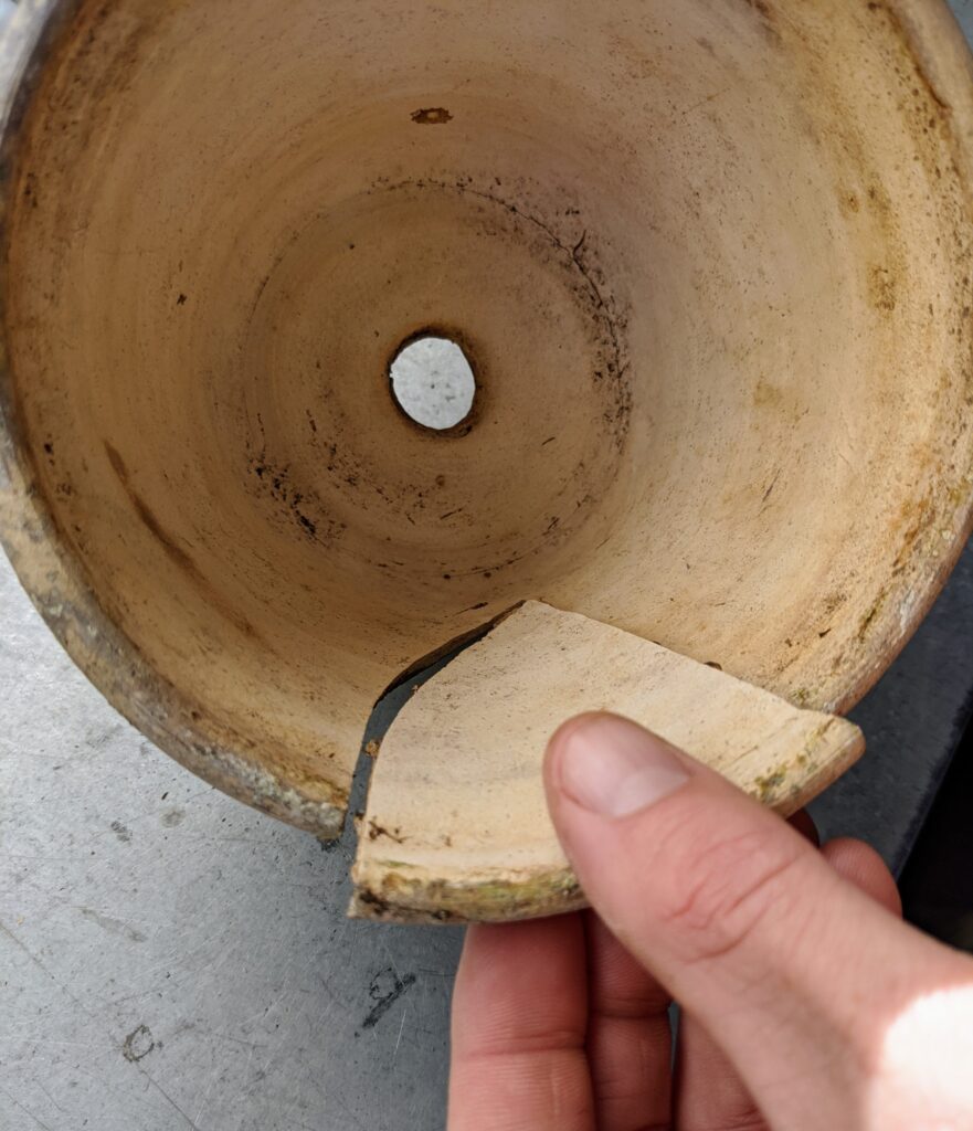 Repairing Pots in the Greenhouse - The Martha Stewart Blog