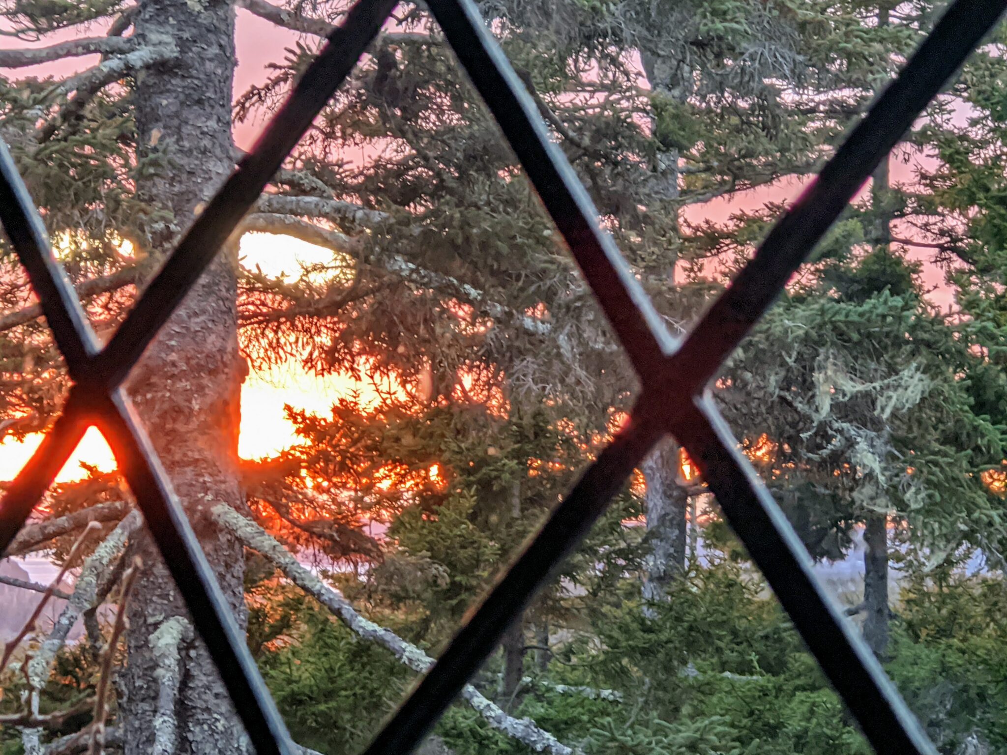 Early December in Maine - The Martha Stewart Blog