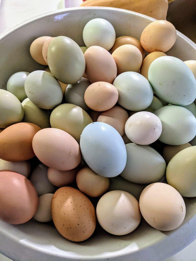 Making the Perfect Steamed Egg - The Martha Stewart Blog