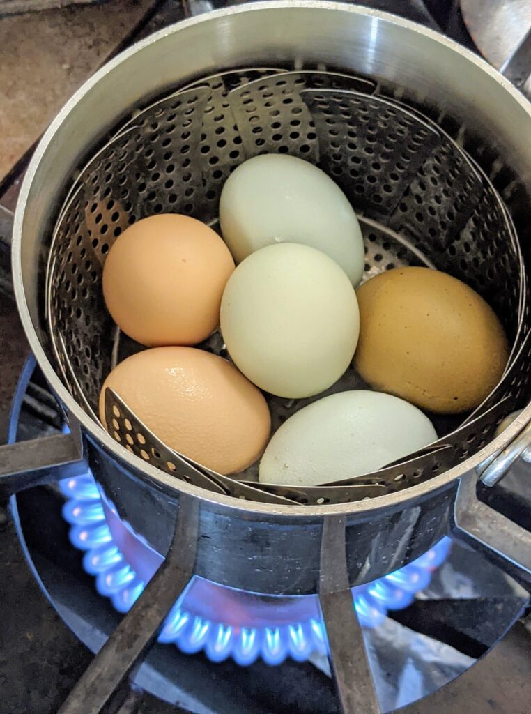 The Martha Stewart Blog : Blog Archive Making the Perfect Steamed Egg ...