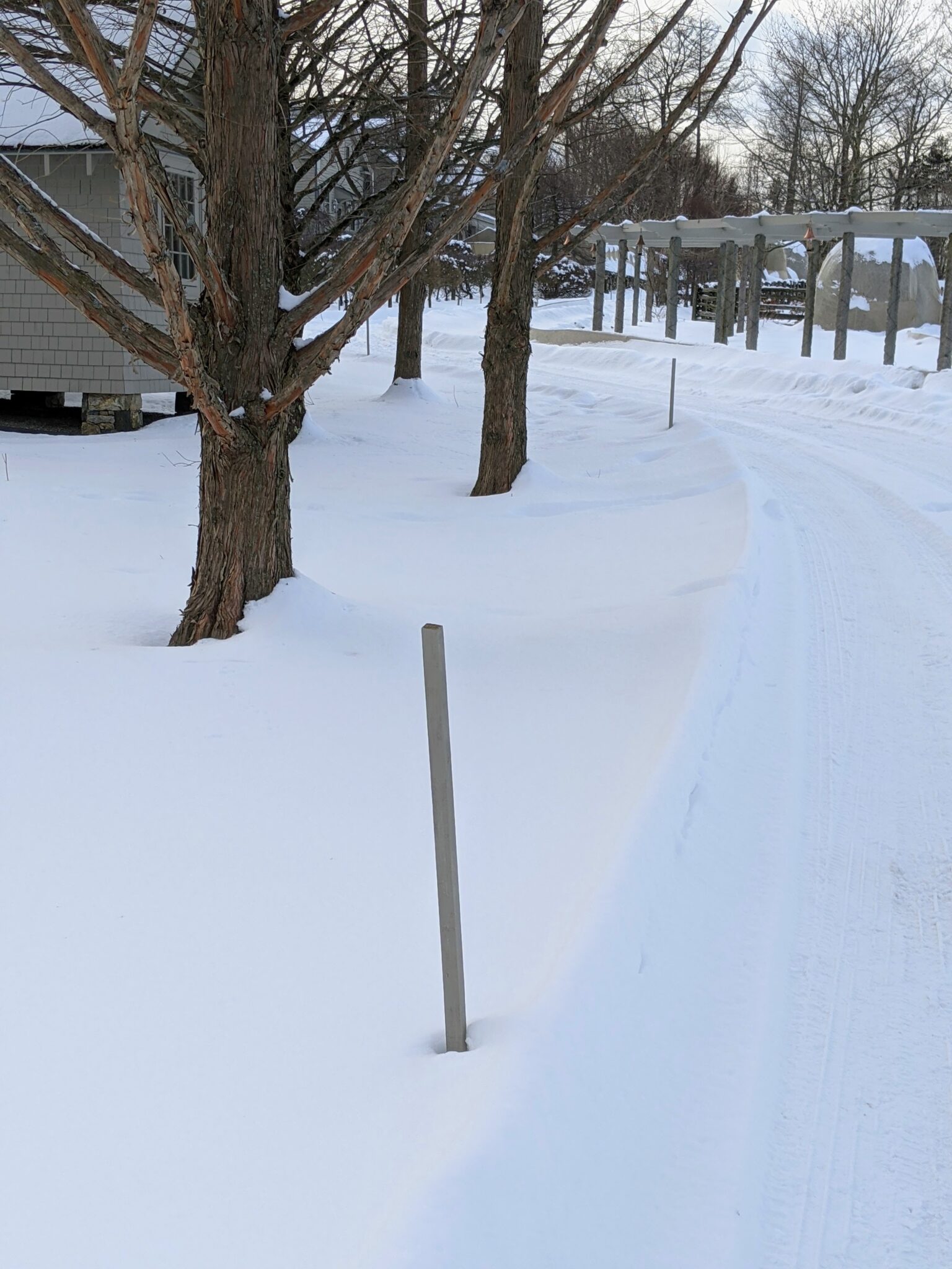 Making Road Stakes for the Farm - The Martha Stewart Blog