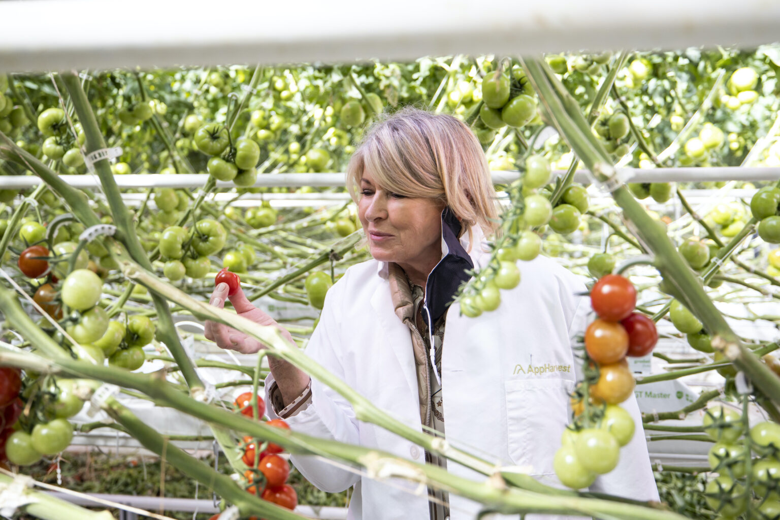 The Martha Stewart Blog : Blog Archive My Visit to AppHarvest - The ...