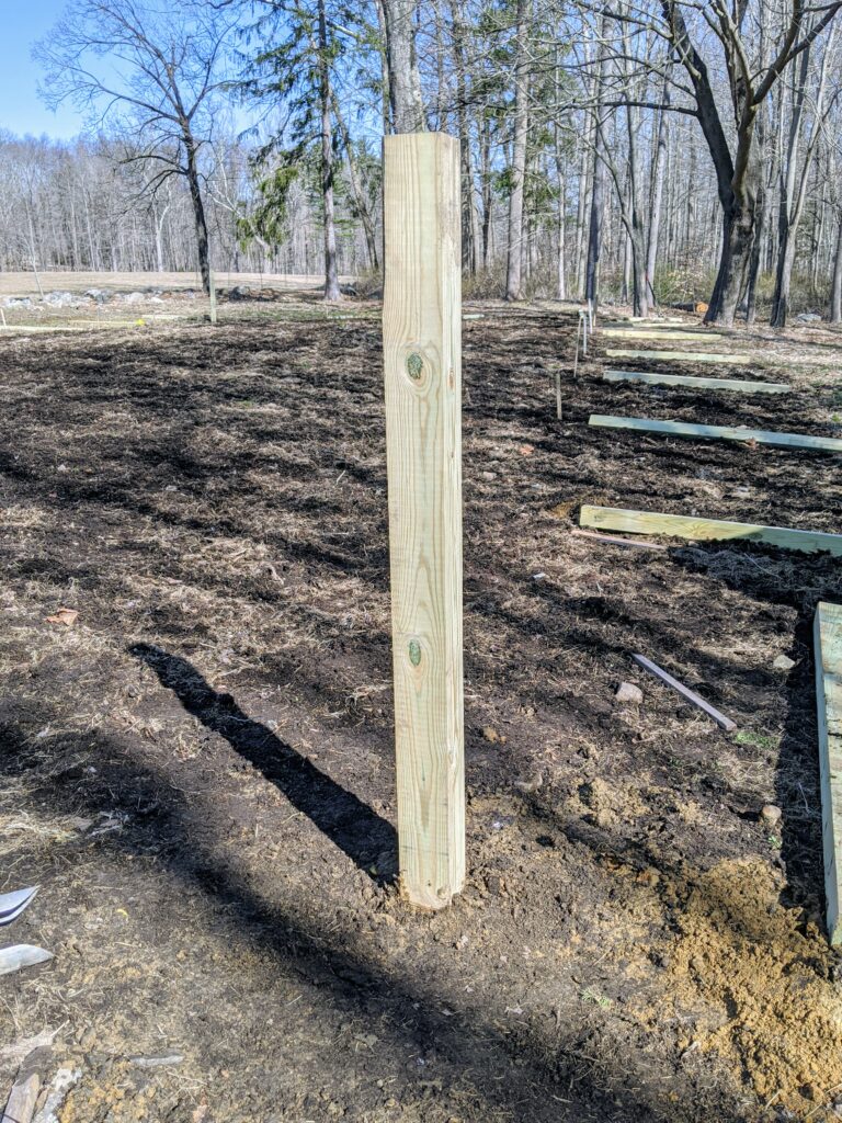 The Martha Stewart Blog : Blog Archive A New Pumpkin Patch Fence - The ...